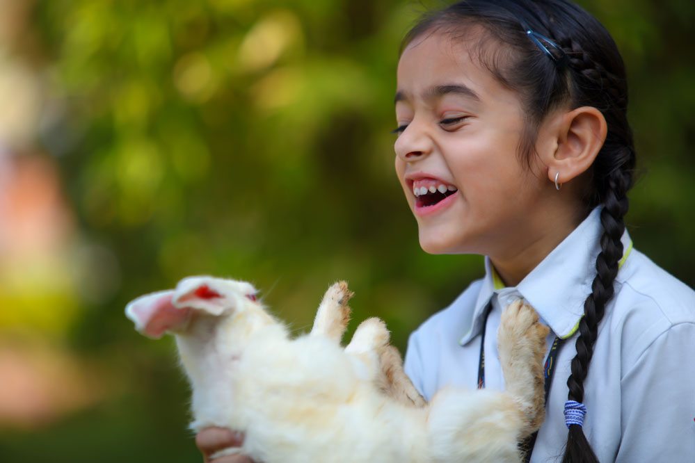 The Gaudium Edge - The Top CBSE & IB World School In Hyderabad ... The Gaudium Edge - The Top CBSE & IB World School In Hyderabad ...